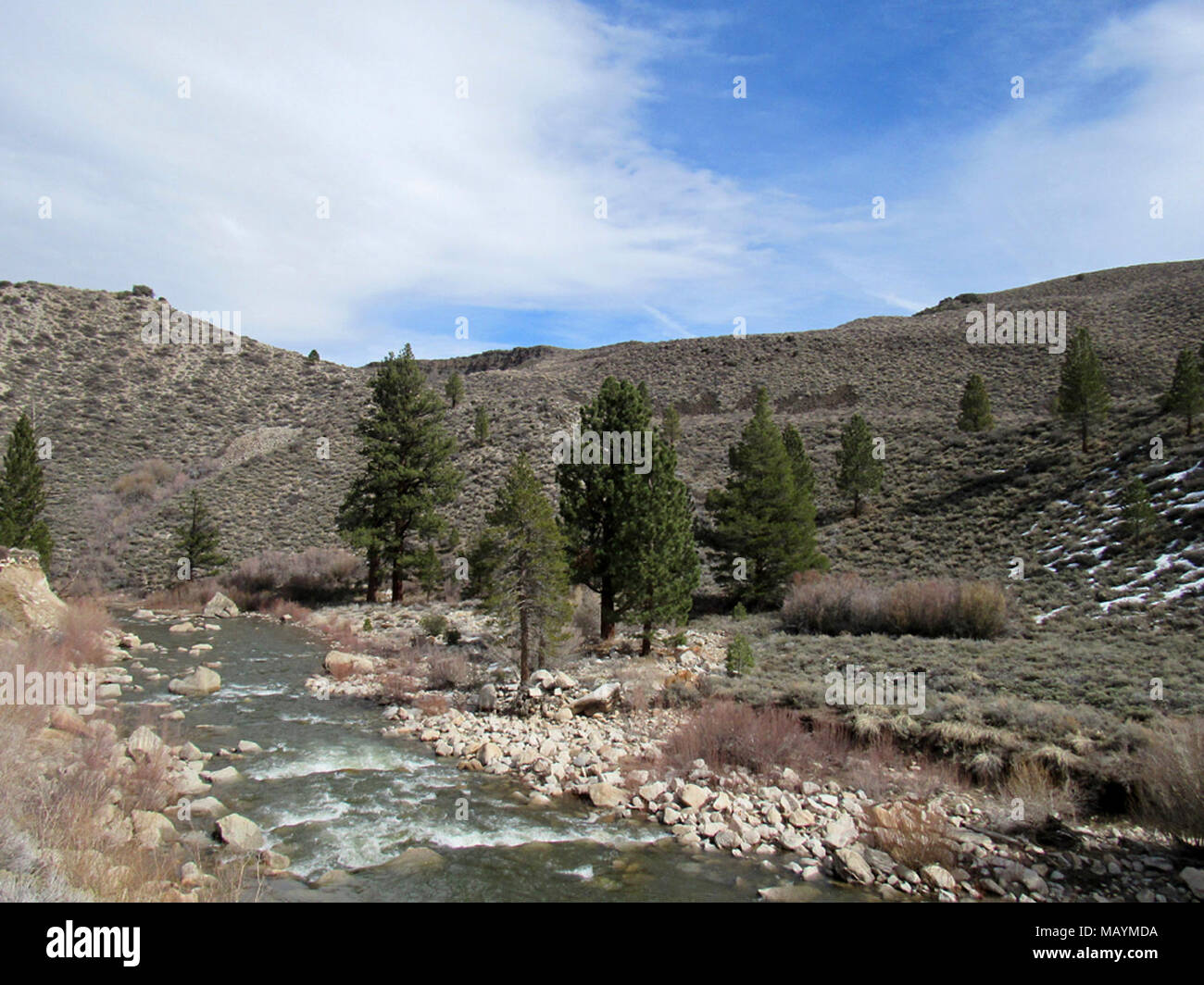 West Walker River in California Stock Photo - Alamy