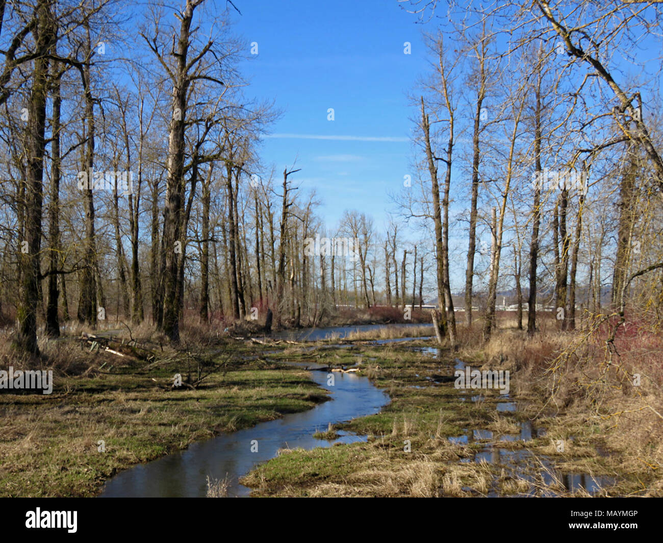 Steigerwald Lake NWR in WA Stock Photo - Alamy