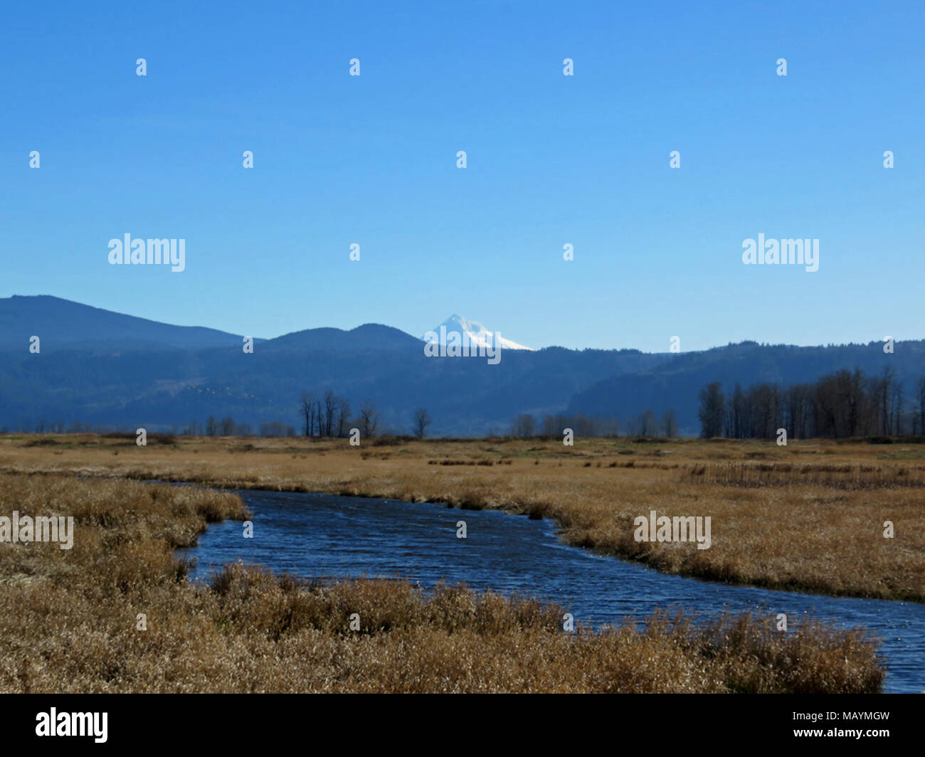 Steigerwald Lake NWR in WA Stock Photo - Alamy