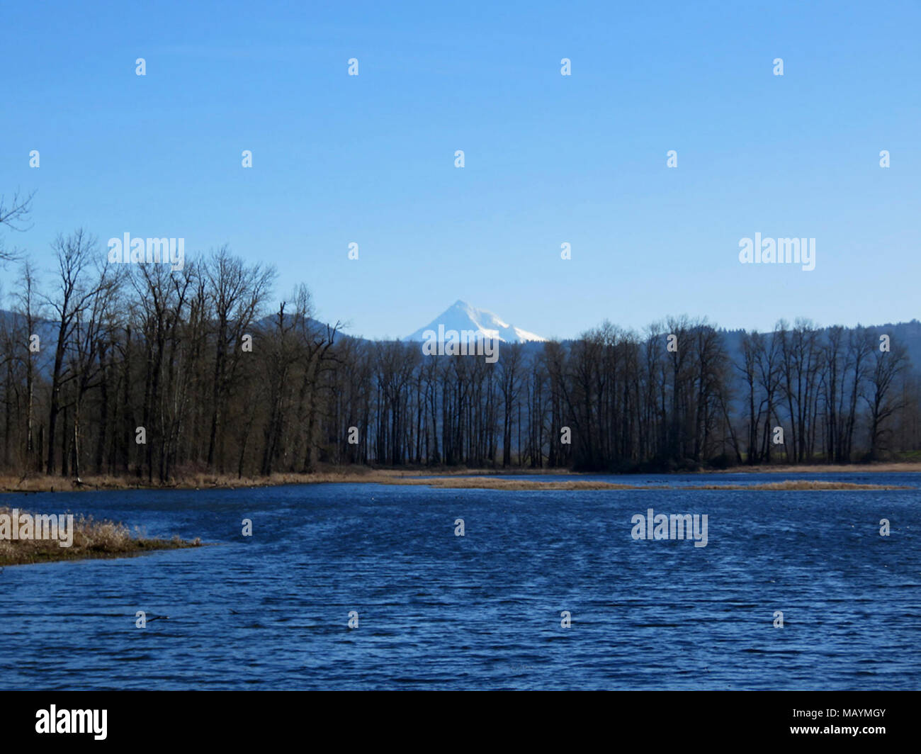 Steigerwald Lake NWR in WA Stock Photo - Alamy