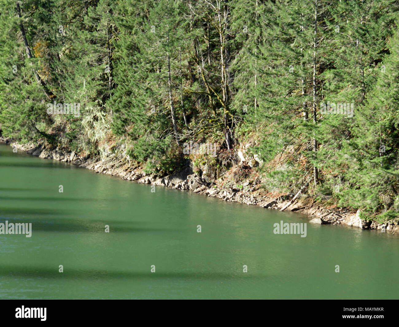 Yale Lake in Cougar, WA Stock Photo - Alamy