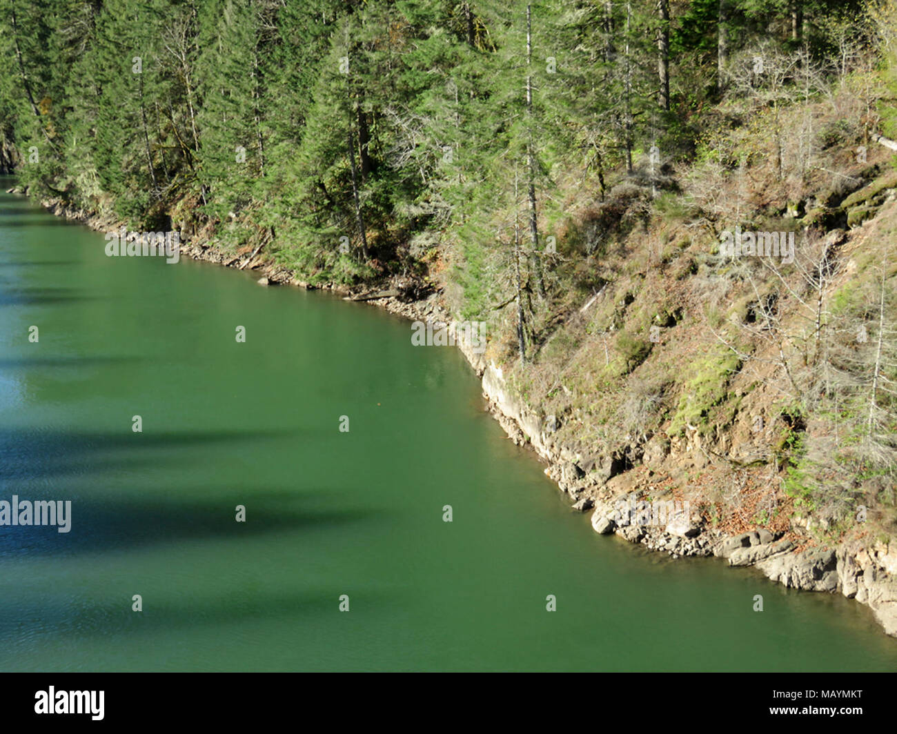 Yale Lake in Cougar, WA Stock Photo - Alamy