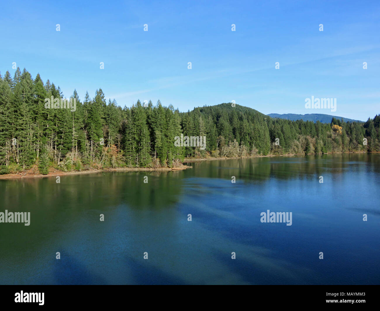 Yale Lake in Cougar, WA Stock Photo - Alamy
