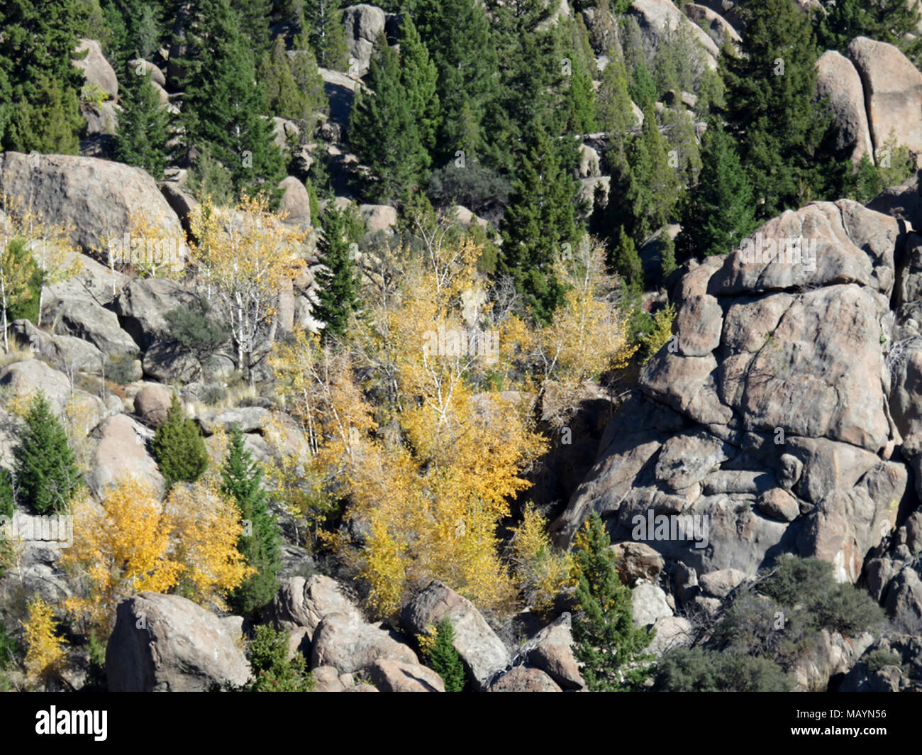 Autumn in Montana Stock Photo - Alamy