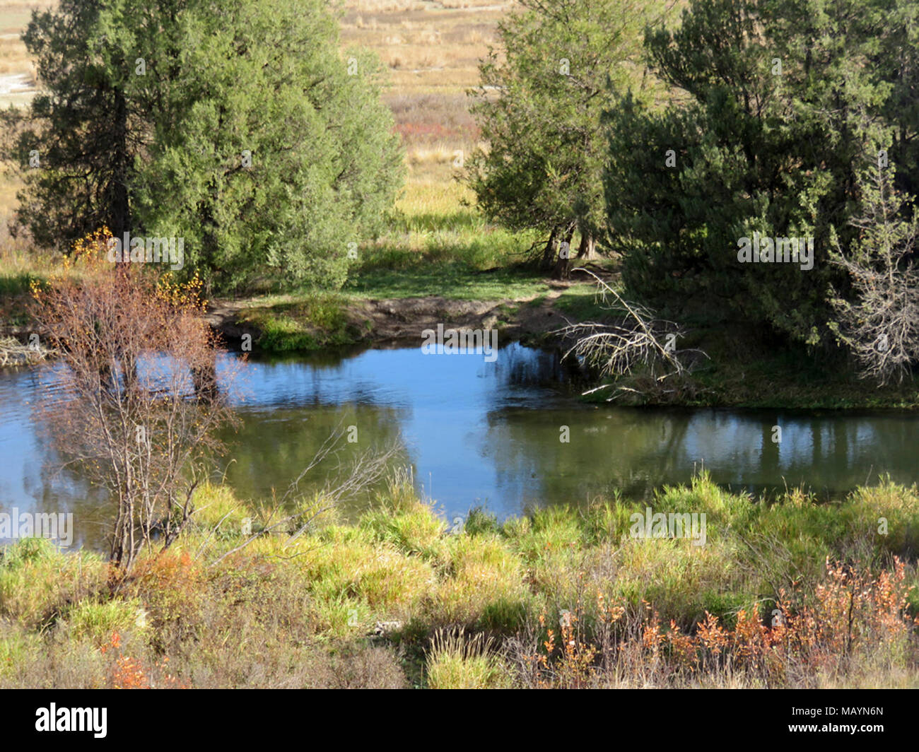 Flathead River at National Bison Range in Montana Stock Photo - Alamy