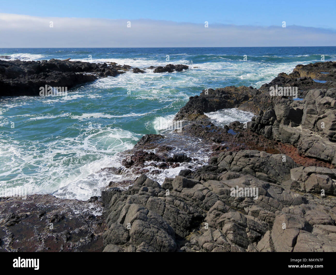 Cook's Chasm at Cape Perpetua in Oregon Stock Photo - Alamy
