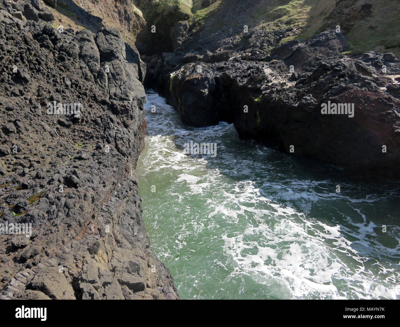 Cook's Chasm at Cape Perpetua in Oregon Stock Photo - Alamy