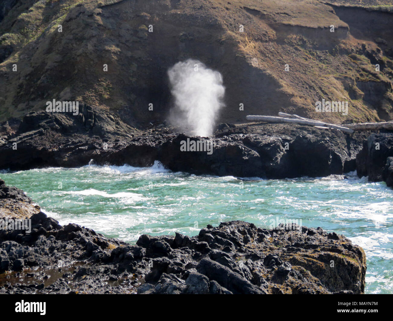 Cook's Chasm and Spouting Horn at Cape Perpetua in Oregon Stock Photo ...