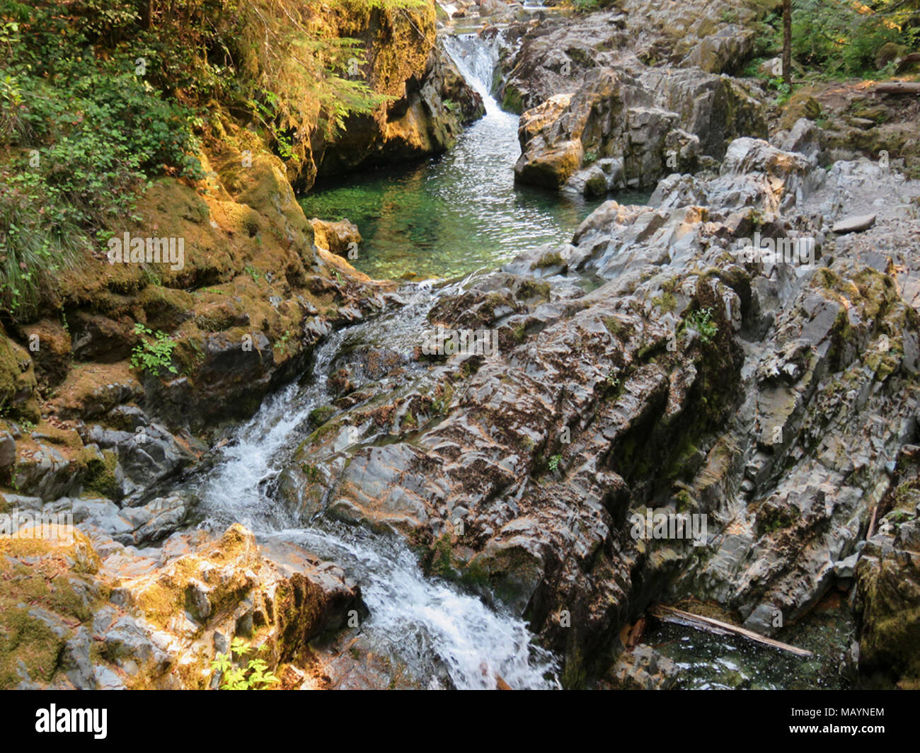 Opal Creek Pool in Oregon Stock Photo - Alamy