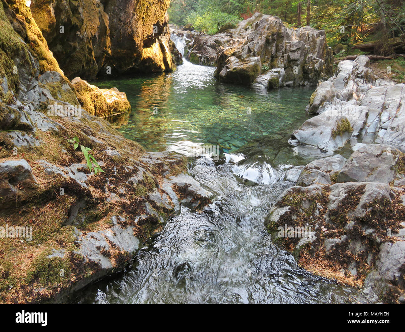 Opal Creek Pool in Oregon Stock Photo - Alamy