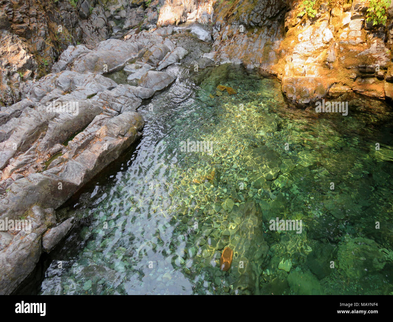 Opal Creek Pool in Oregon Stock Photo - Alamy