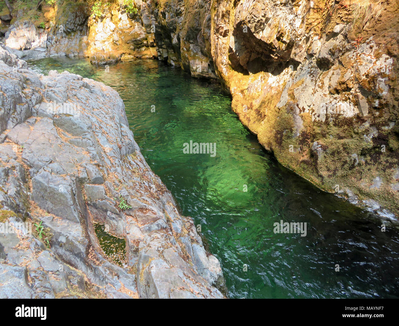 Opal Creek Pool in Oregon Stock Photo - Alamy
