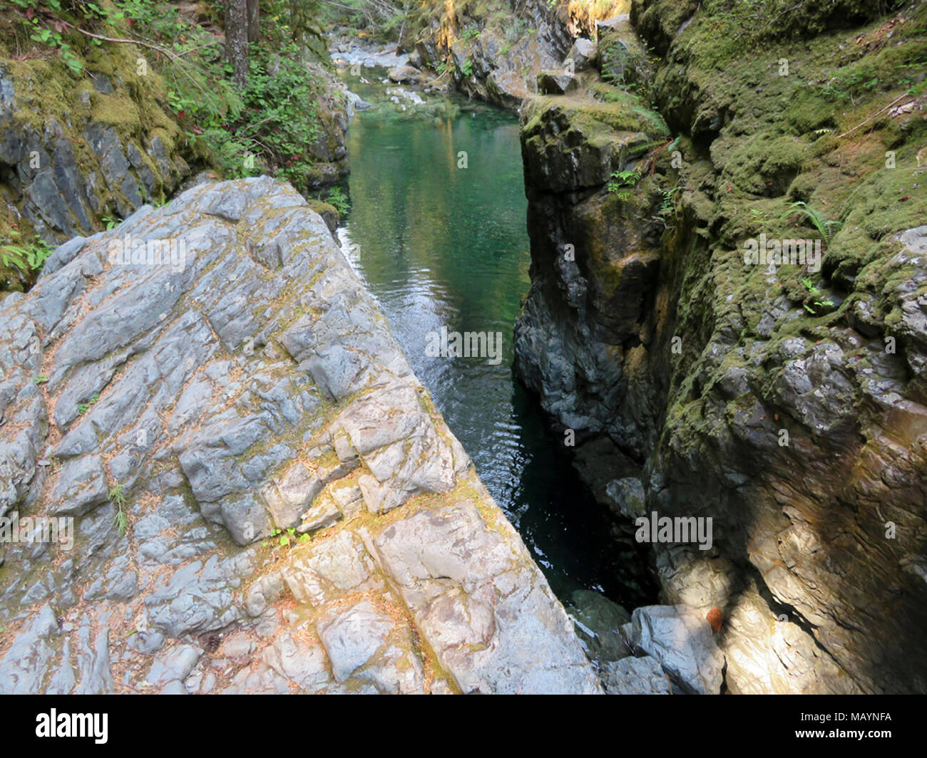 Opal Creek Pool in Oregon Stock Photo - Alamy
