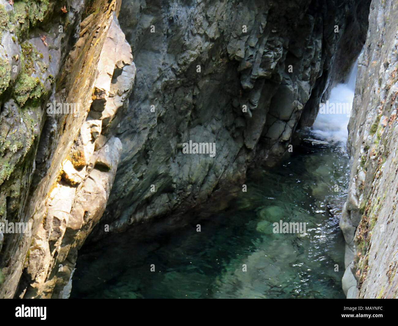 Opal Creek Pool in Oregon Stock Photo - Alamy