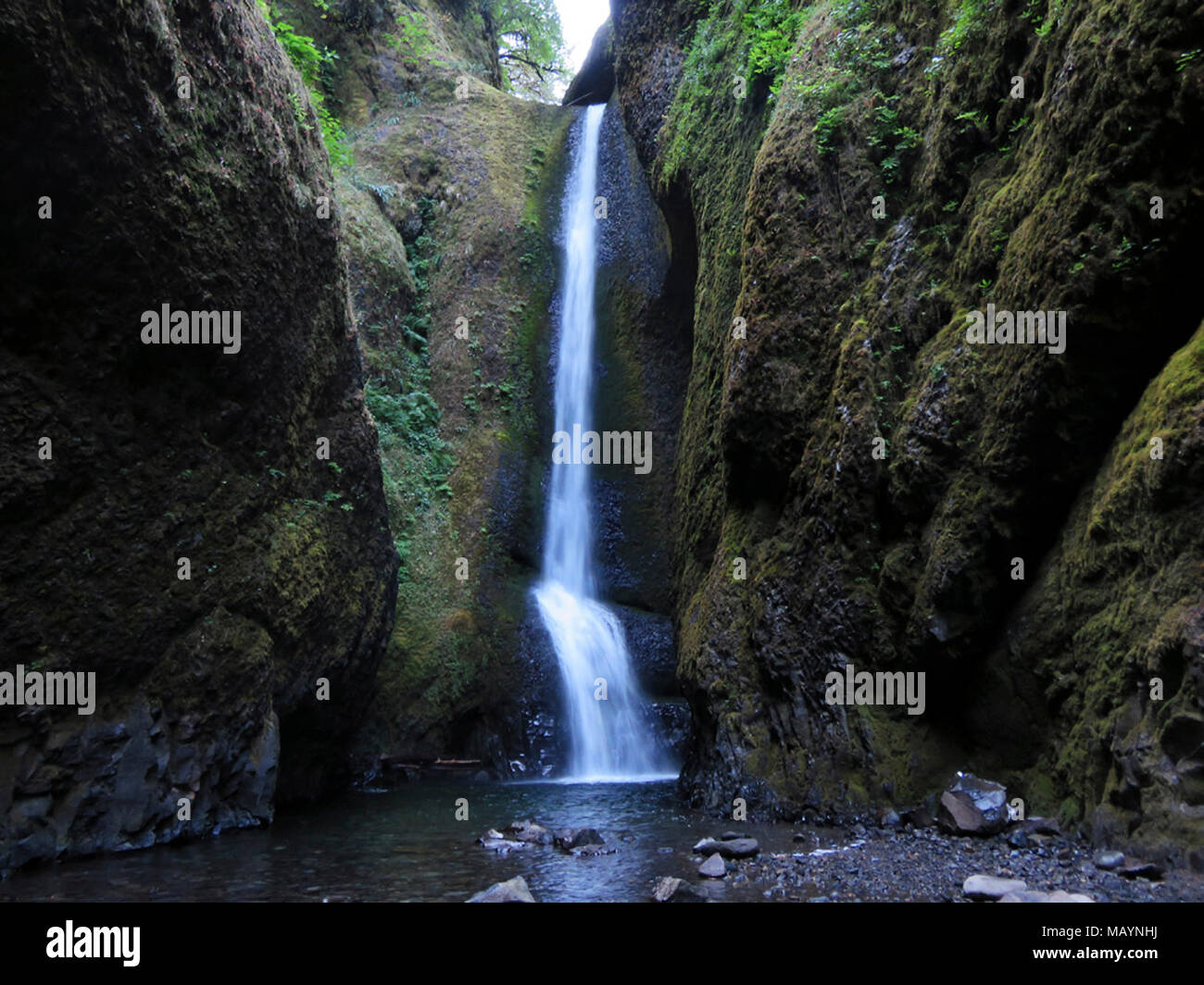 Oneonta Gorge Falls in Oregon Stock Photo - Alamy