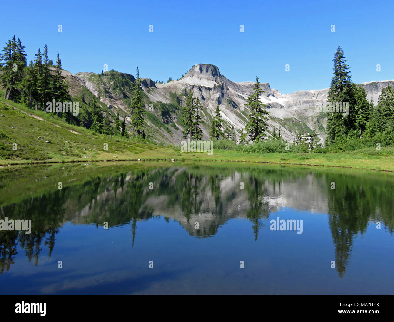 Austin Pass at Mt Baker-Snoqualmie NF in Washington Stock Photo - Alamy