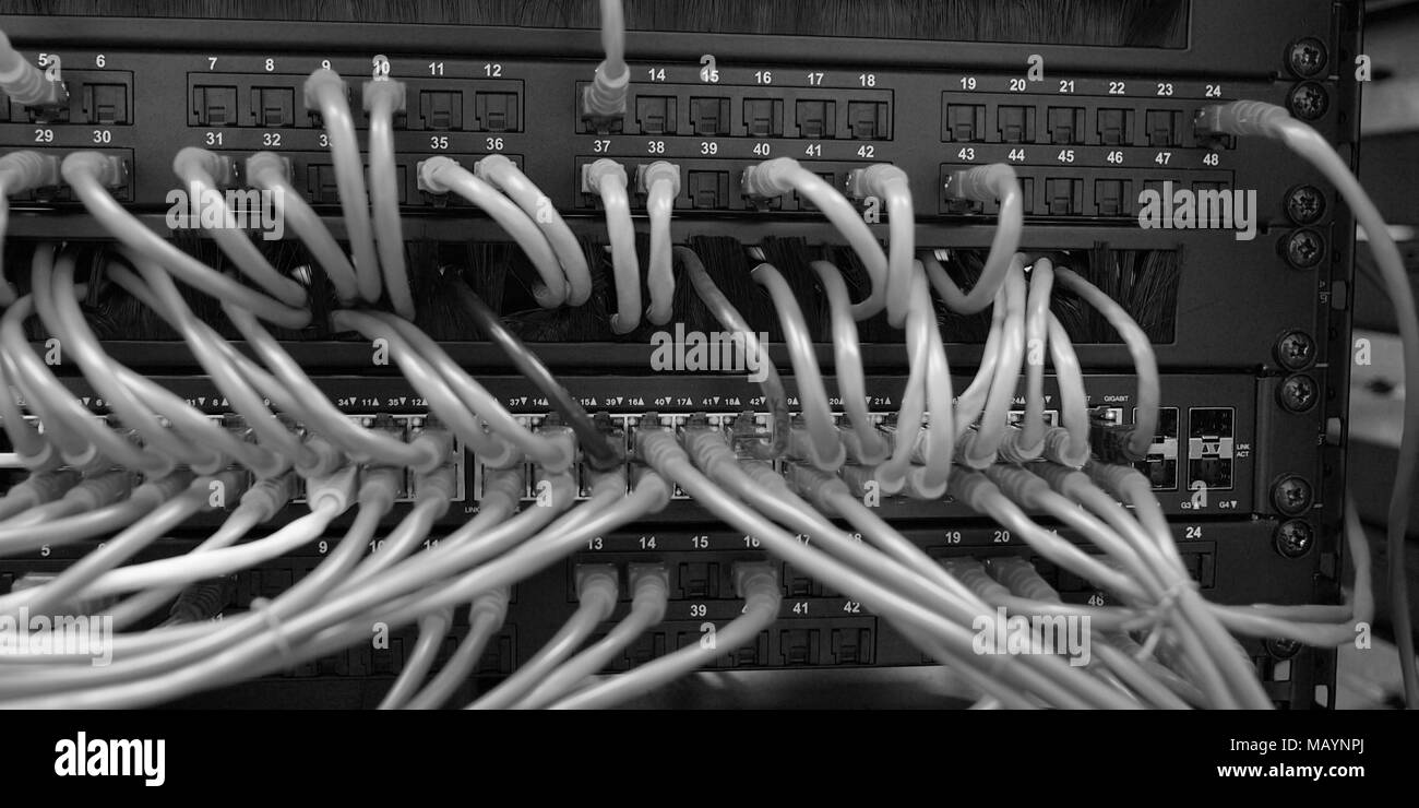 Computer section of a company Stock Photo - Alamy