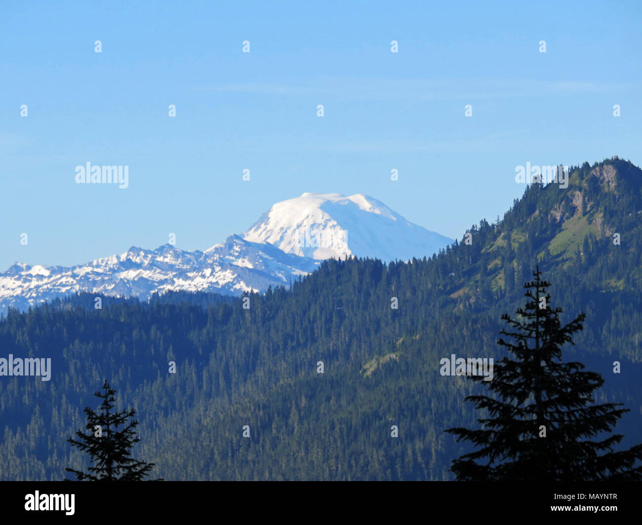 Mt Adams in Washington Stock Photo - Alamy