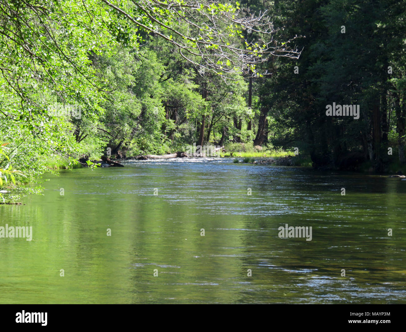 Merced national wildlife refuge in hi-res stock photography and images ...