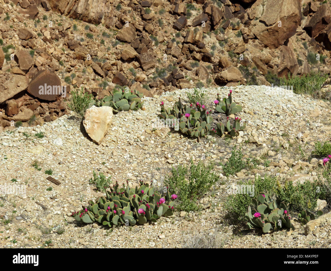 Navajo Land in The SW Stock Photo - Alamy