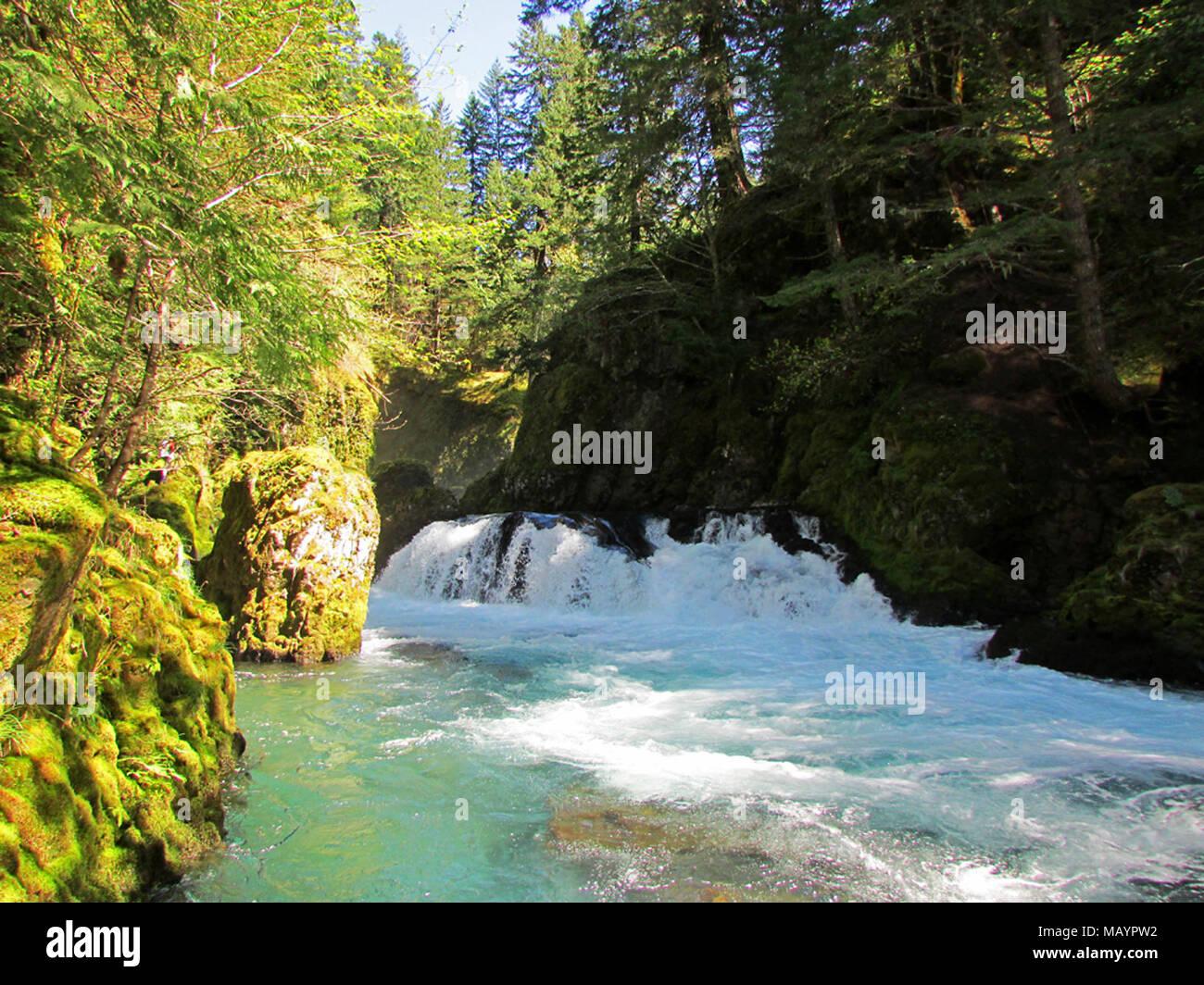 Spirit Falls at White Salmon River in Washington Stock Photo - Alamy