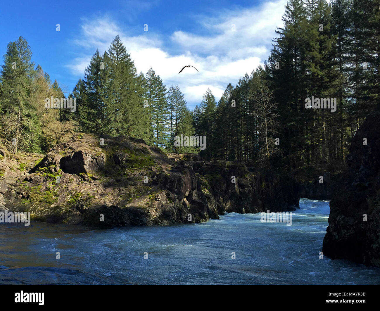 Lucia Falls Park at Lewis River in Washington Stock Photo - Alamy