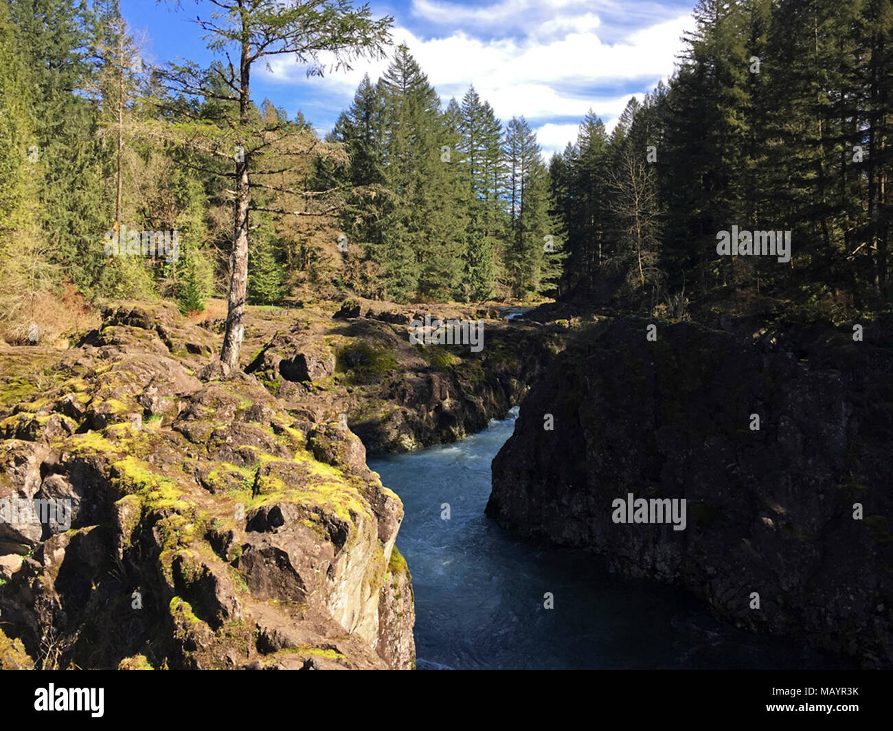 Lucia Falls Park at Lewis River in Washington Stock Photo - Alamy