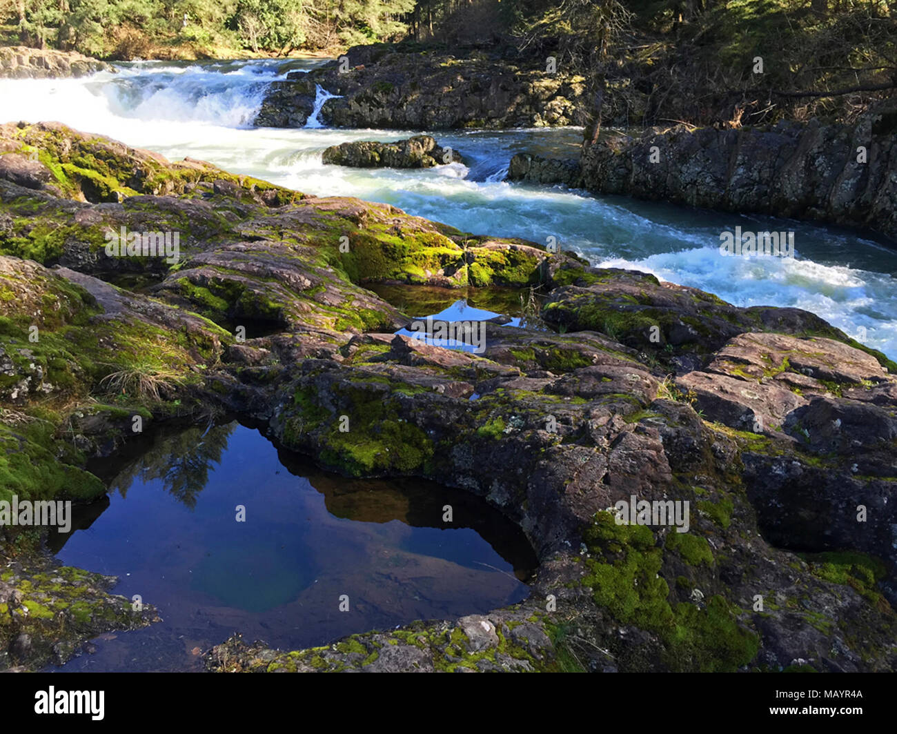 Lucia Falls Park at Lewis River in Washington Stock Photo - Alamy