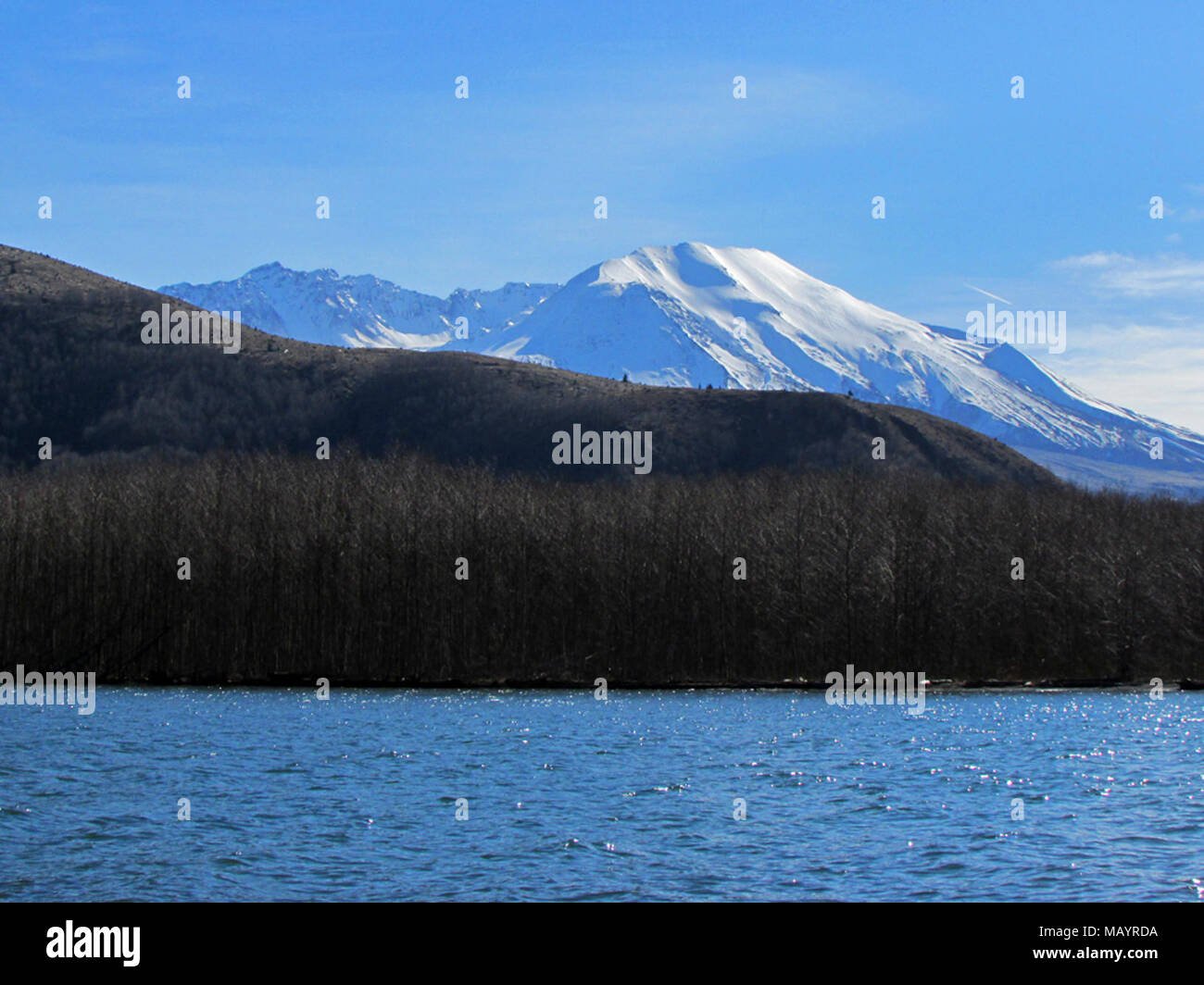 Coldwater Lake at Mt St Helens in Washington Stock Photo - Alamy