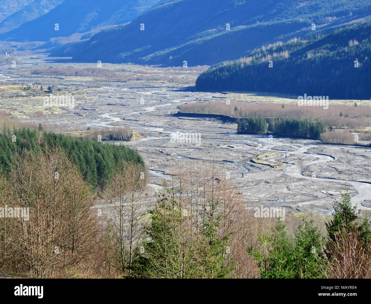 Toutle River Vally at Mt St Helens in Washington Stock Photo - Alamy