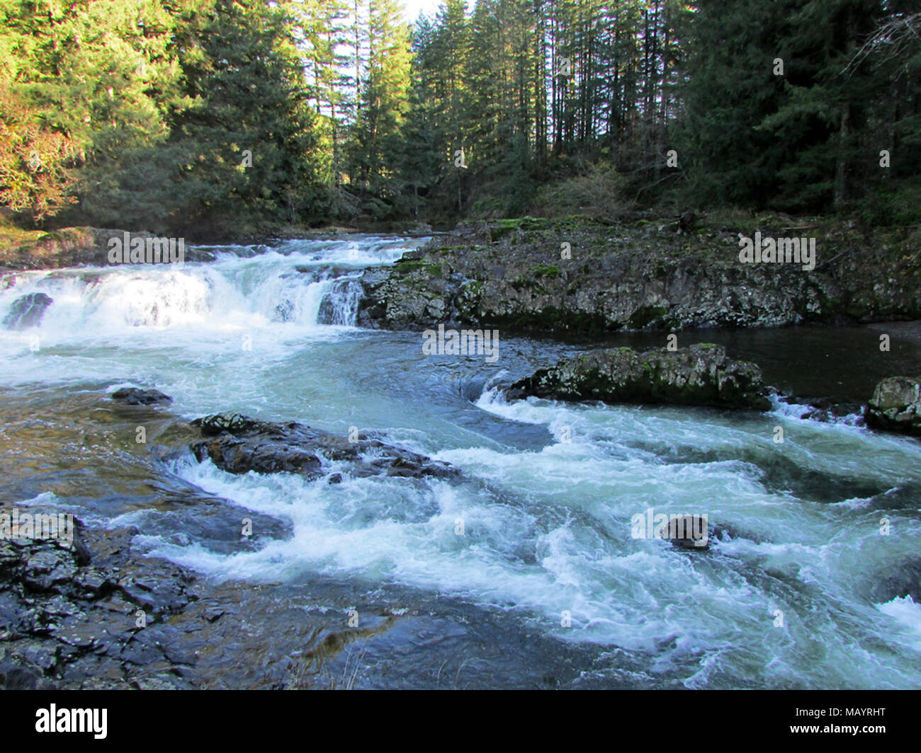 Lucia Falls Park at Lewis River in Washington Stock Photo - Alamy