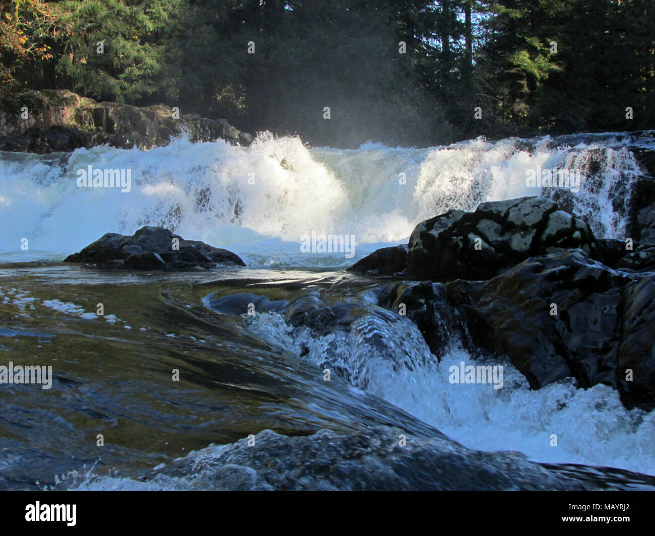 Lucia Falls Park at Lewis River in Washington Stock Photo - Alamy