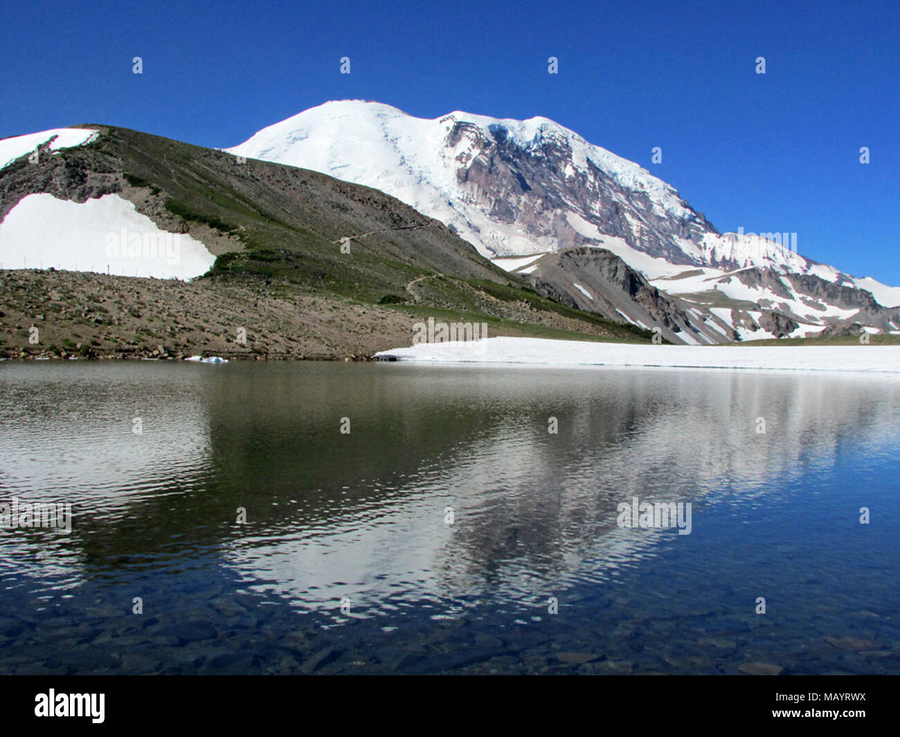 Frozen Lake at Mt Rainier NP in Washington Stock Photo - Alamy