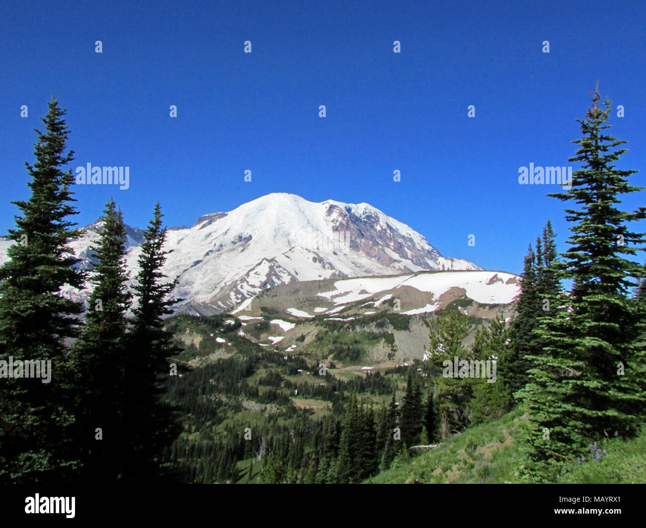 Sunrise Point at Mt Rainier NP in Washington Stock Photo - Alamy