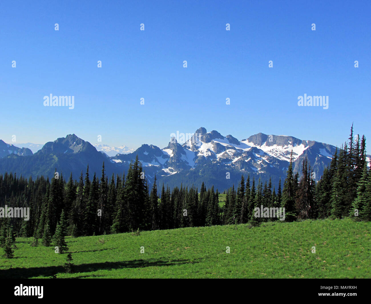 Sunrise Point at Mt Rainier NP in Washington Stock Photo - Alamy