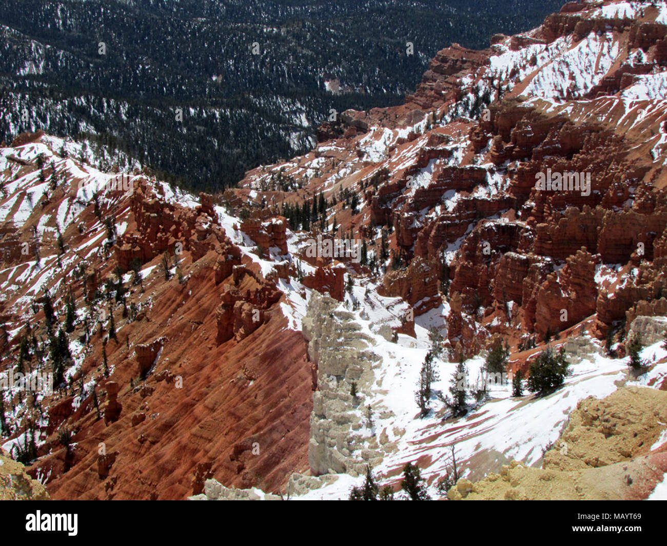 Dixie national forest wildlife hi-res stock photography and images - Alamy