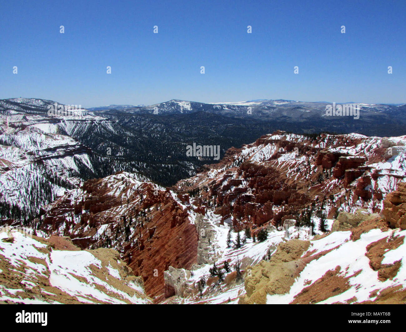 Dixie National Forest in Utah Stock Photo - Alamy