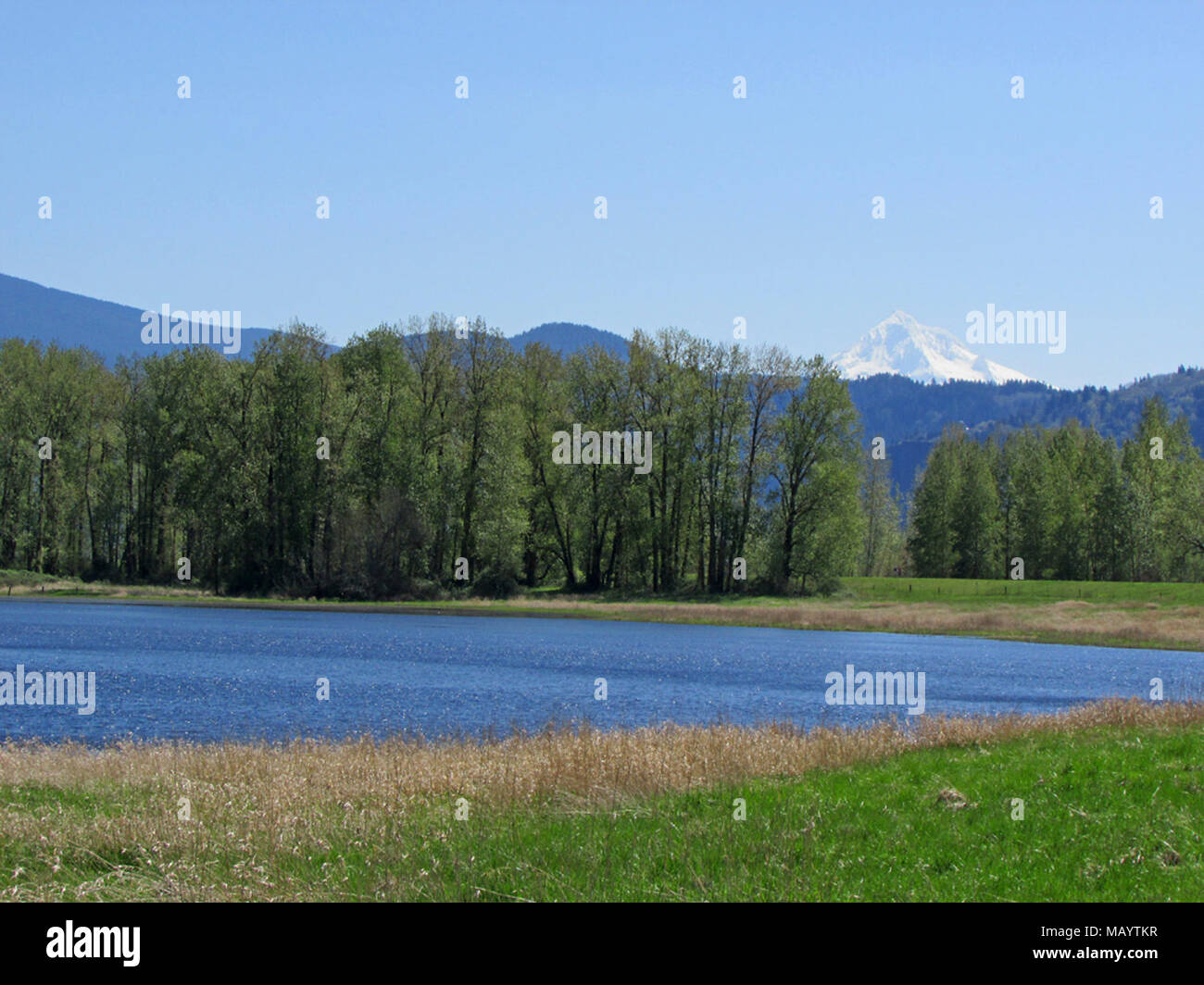 Steigerwald wildlife refuge hi-res stock photography and images - Alamy