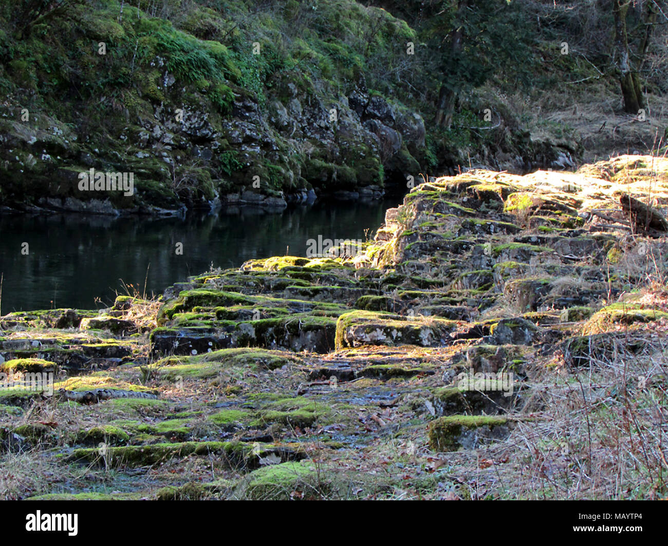 Lucia Falls Park at Lewis River in WA Stock Photo - Alamy