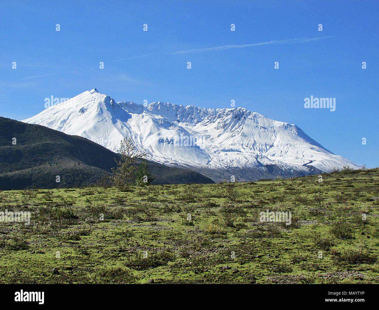 Mt St Helens in WA Stock Photo - Alamy