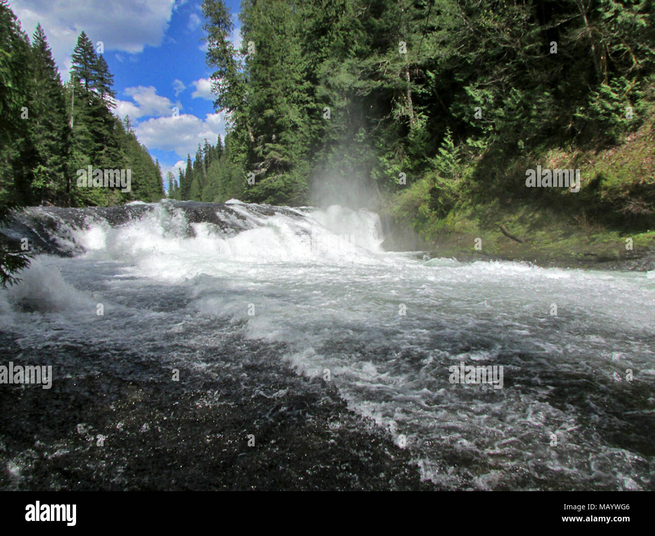 Middle Lewis River Falls in WA Stock Photo - Alamy