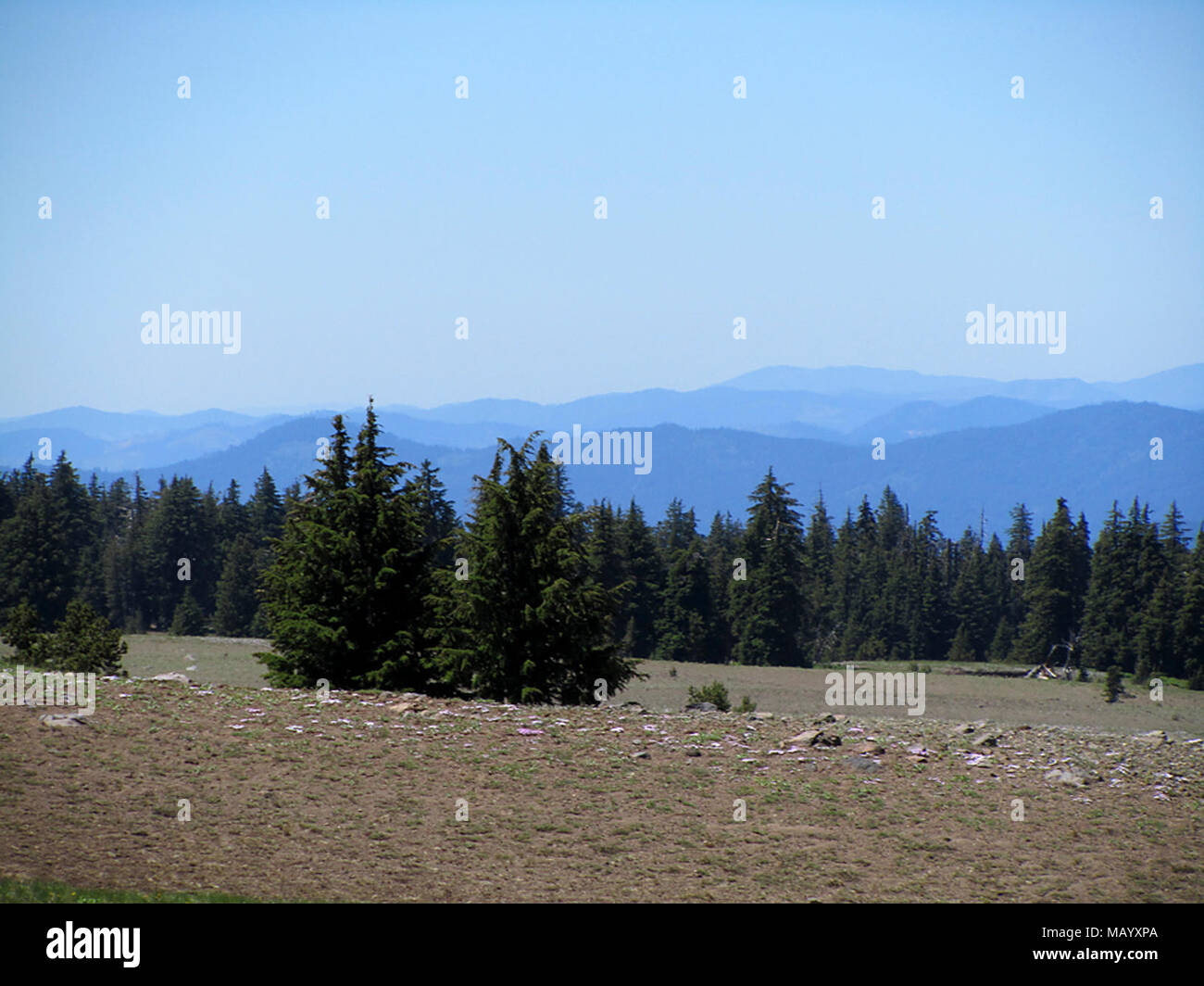 Pumice Desert at Crater Lake National Park in Oregon Stock Photo - Alamy