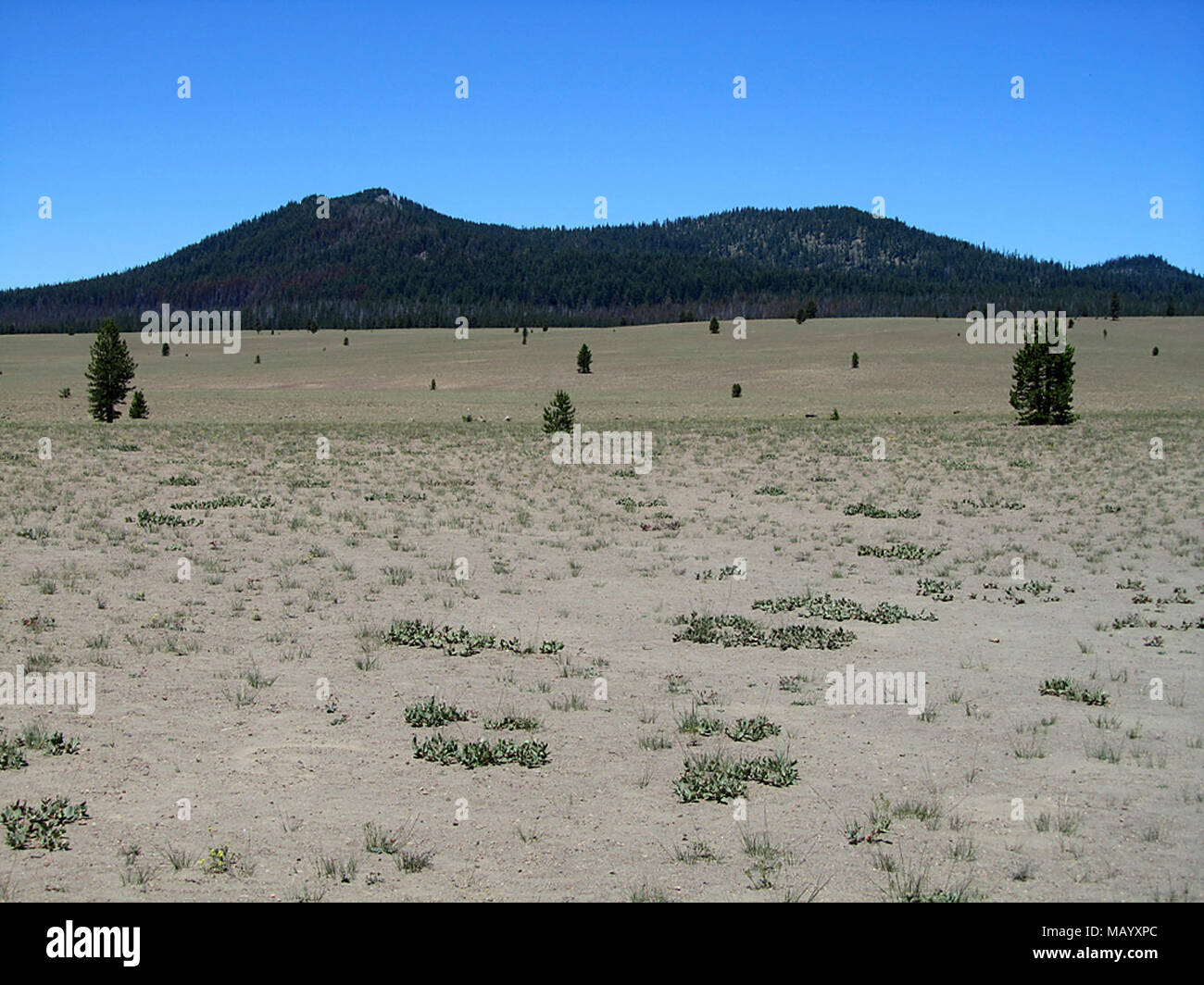 Pumice Desert at Crater Lake National Park in Oregon Stock Photo - Alamy