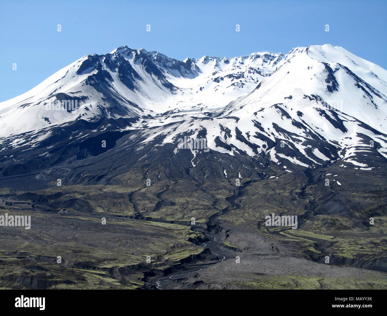 Fauna johnston hi-res stock photography and images - Alamy