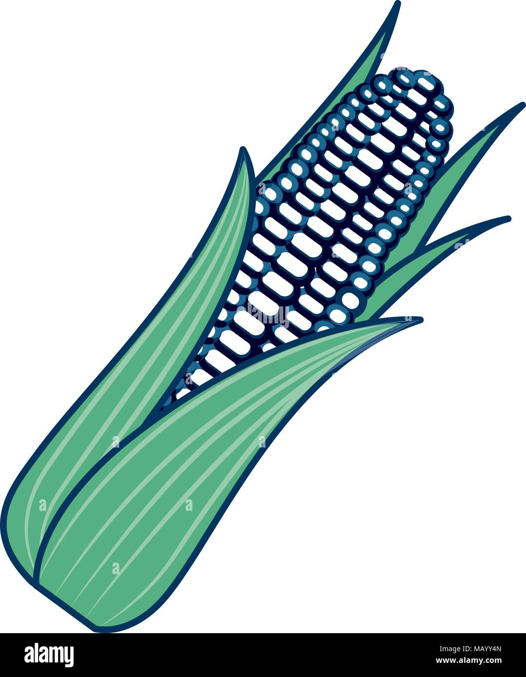 Grain leaves Stock Vector Images - Alamy