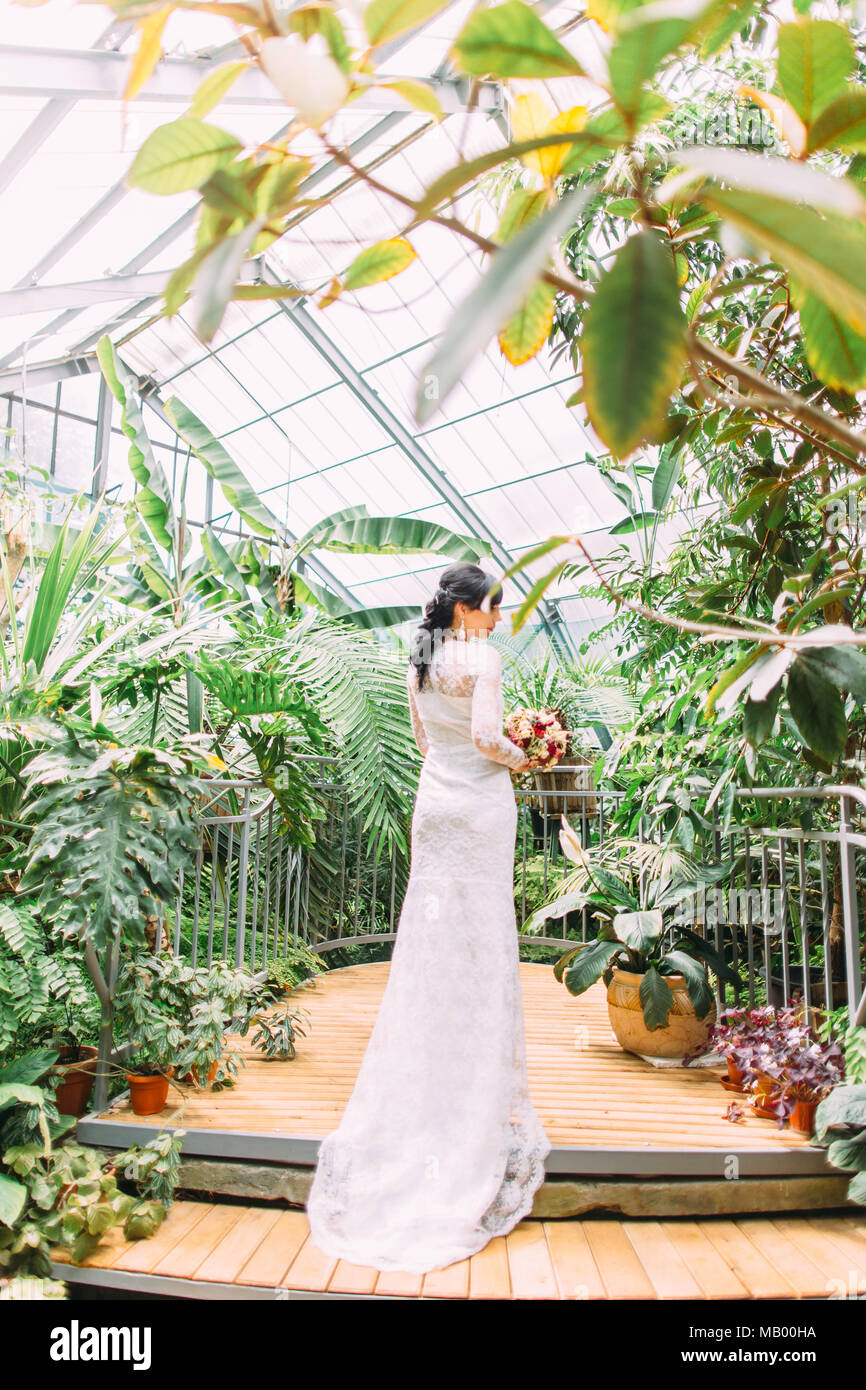 The back view of the bride going up stairs in the greenhouse Stock ...
