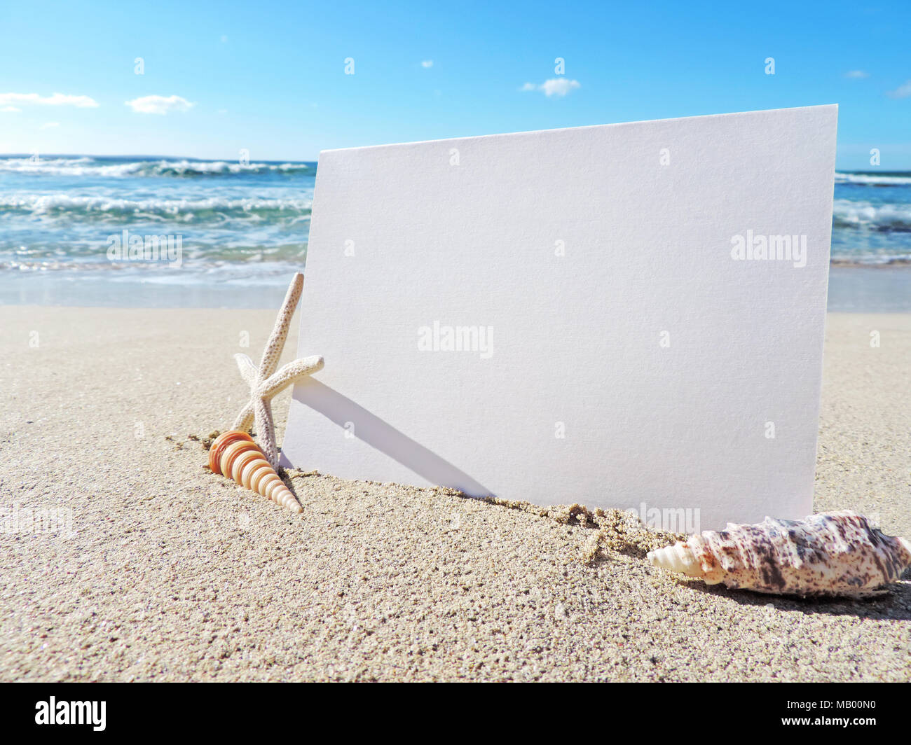 Blank white card or greeting card on the beach with copy space. Summer ...