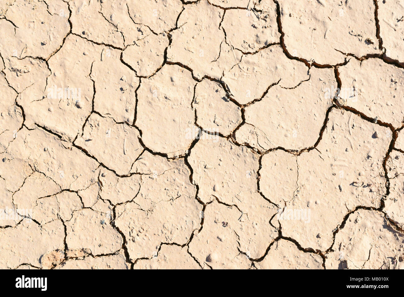 Cracked Desert Background