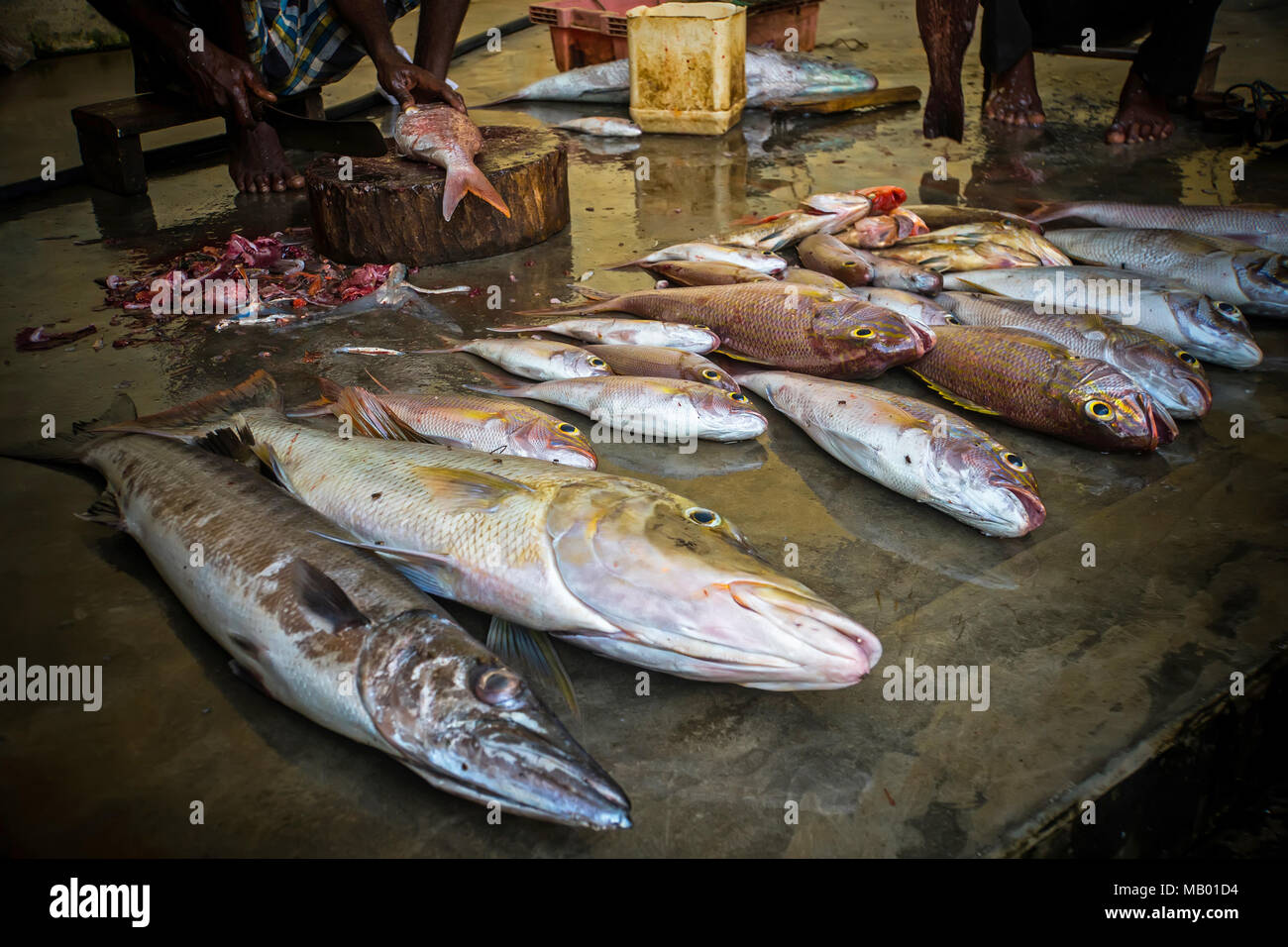 Gutted fish hi-res stock photography and images - Alamy