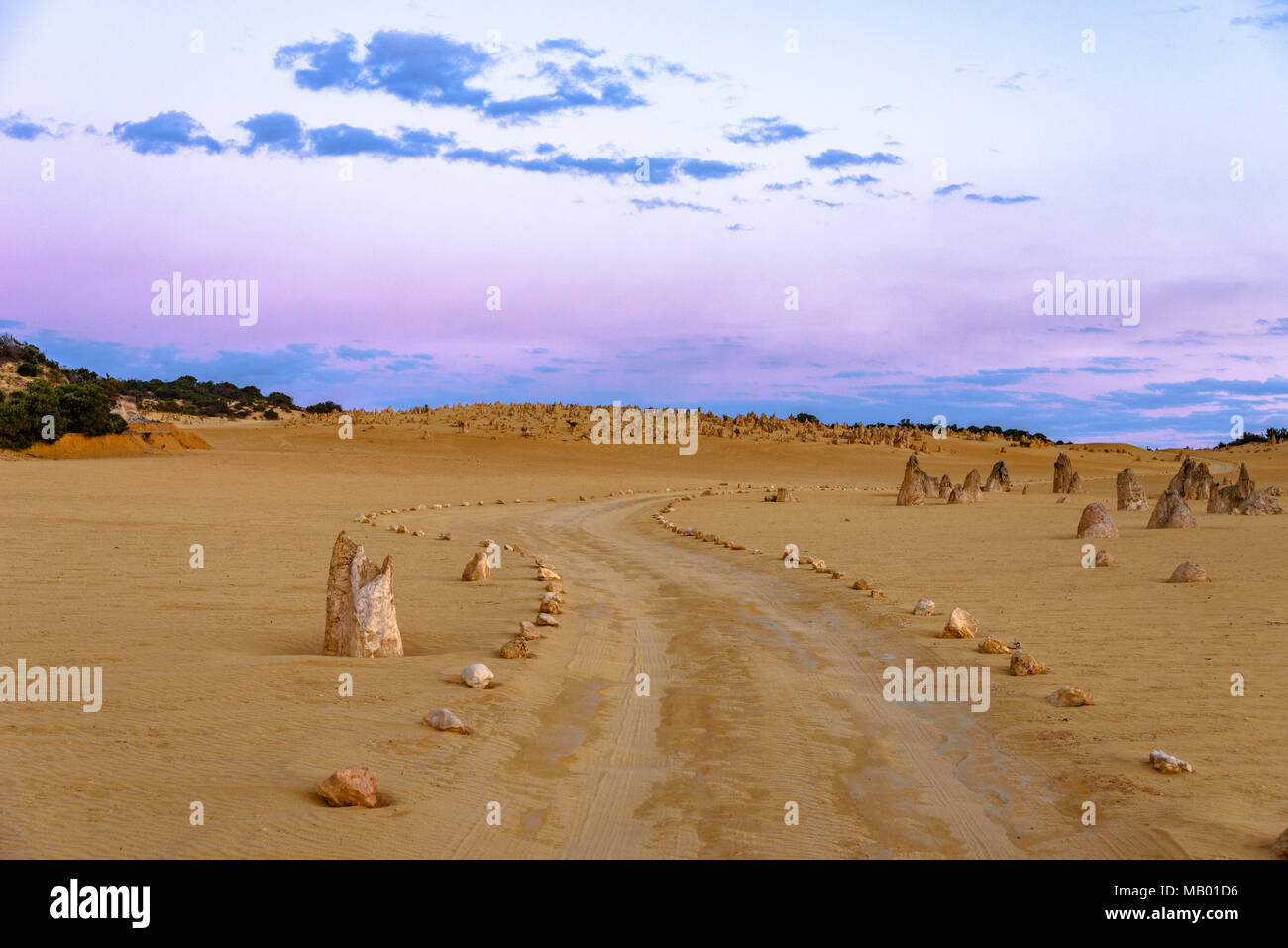 A road leading through the Pinnacles, Australia at dusk Stock Photo - Alamy